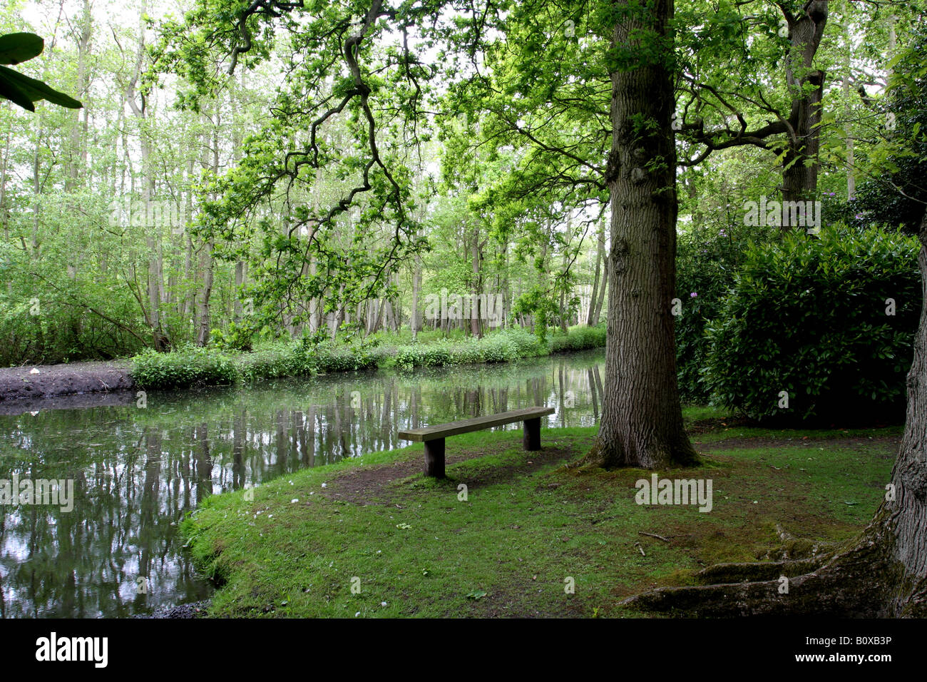 Acle norfolk hi-res stock photography and images - Alamy