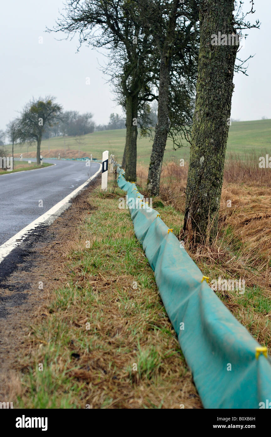 toad fence during toad migration, Germany Stock Photo - Alamy