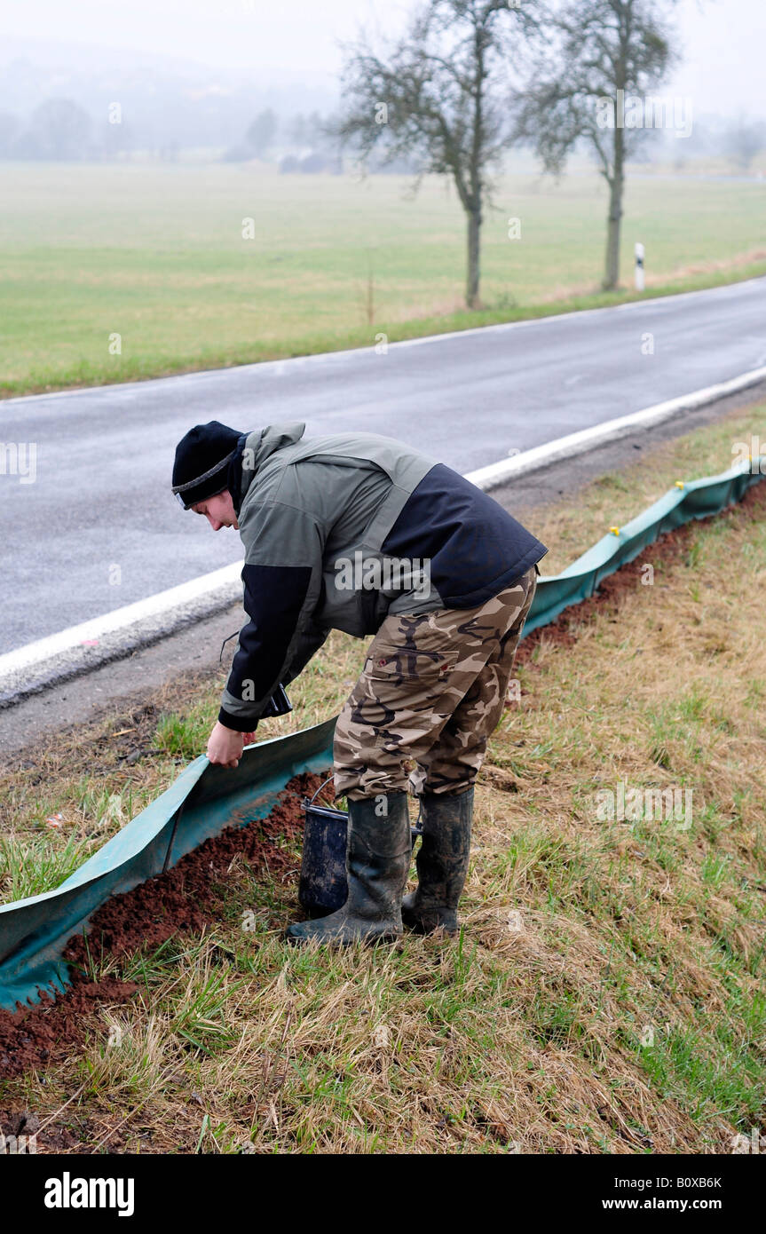 Toad fences hi-res stock photography and images - Alamy