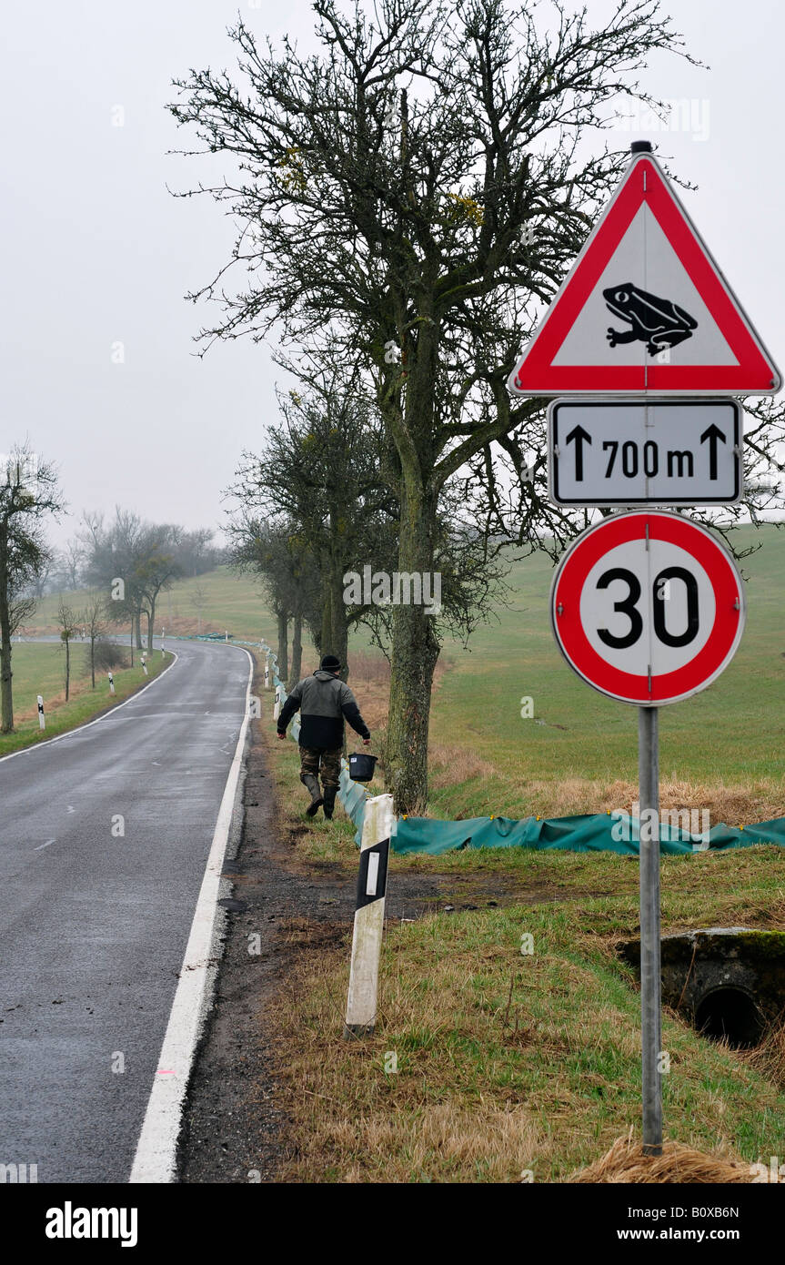 warning sign with toad fence during toad migration and conservationist ...