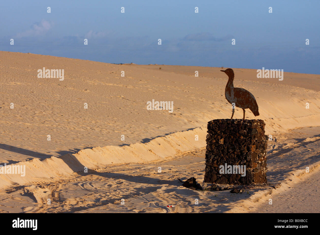 houbara bustard (Chlamydotis undulata), monument at the dunes of El ...