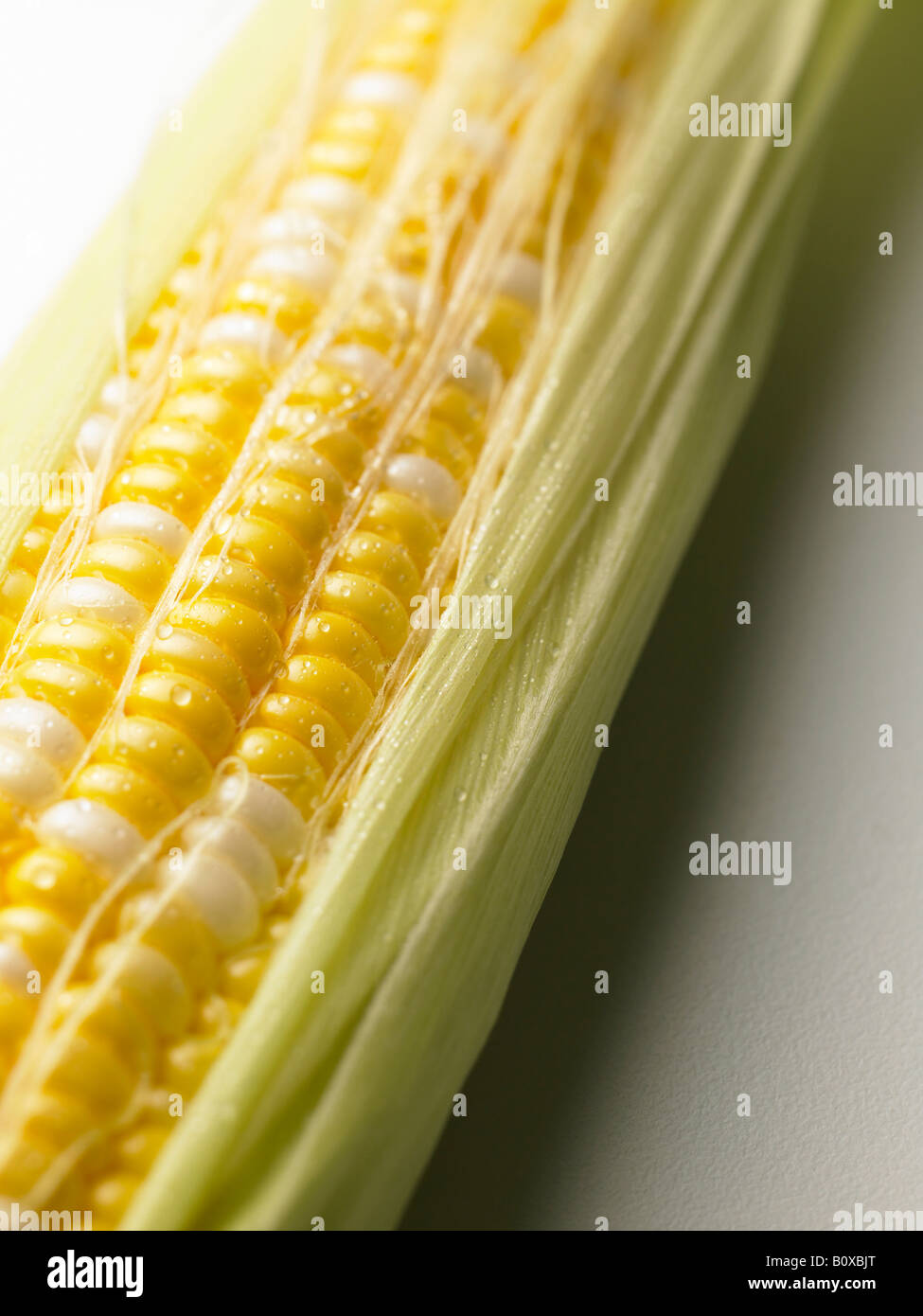 close up of sweet corn Stock Photo - Alamy
