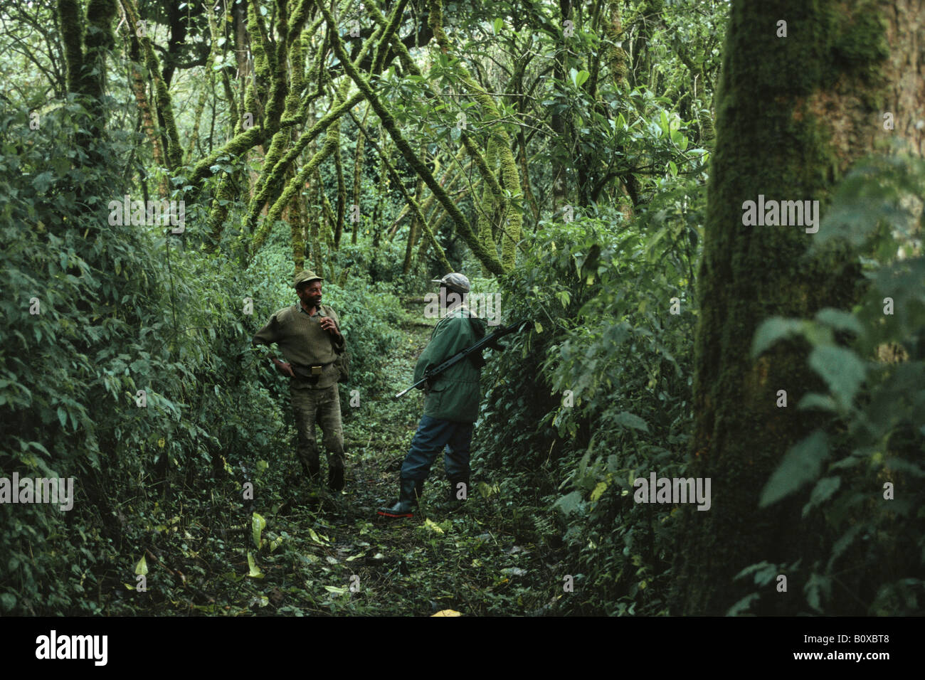 ranger in Virunga National Park, Democratic Republic of the Congo ...