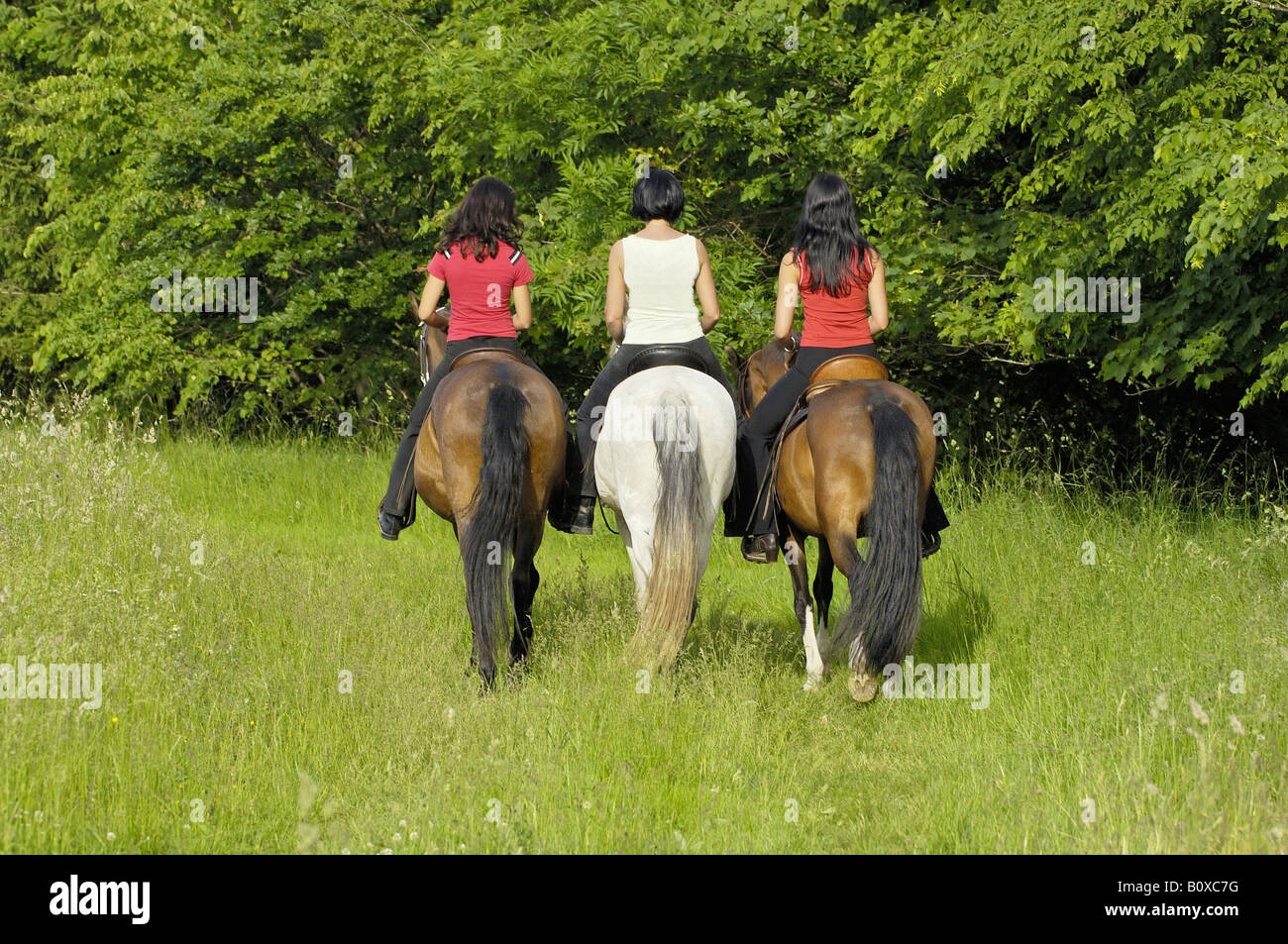 3 three young ladies hi-res stock photography and images - Alamy