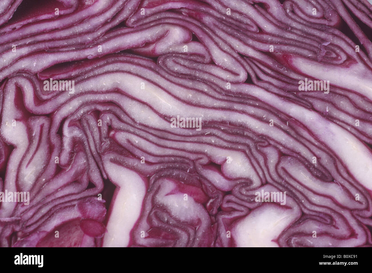 Pattern in cut red cabbage Stock Photo - Alamy