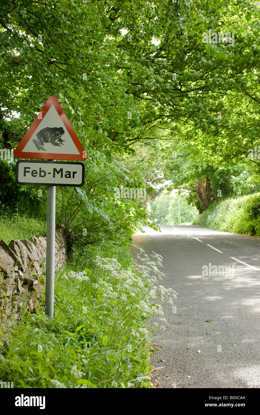 toads crossing road sign Stock Photo - Alamy