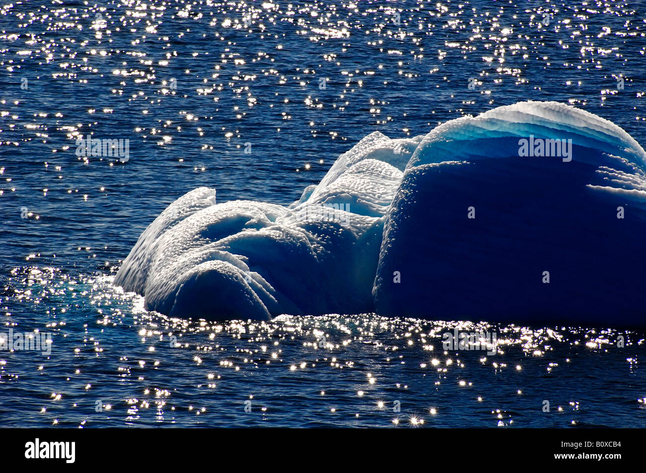 drifting ice on glimmering water surface, Antarctica Stock Photo - Alamy