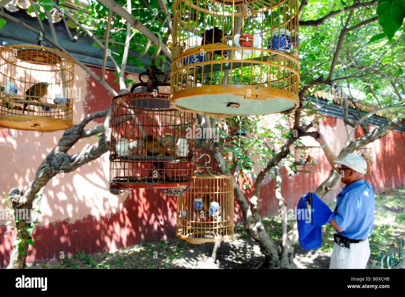 China Beijing Jingshan Park Bird Fanciers Bird Cage Stock Photo - Alamy