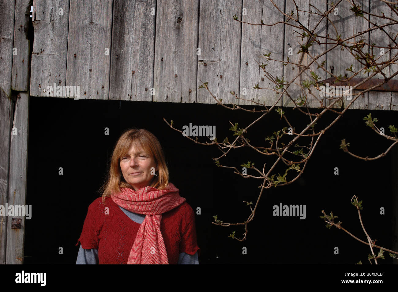 Romy Fraser pictured at home in Trill near Axminster Devon Stock Photo ...