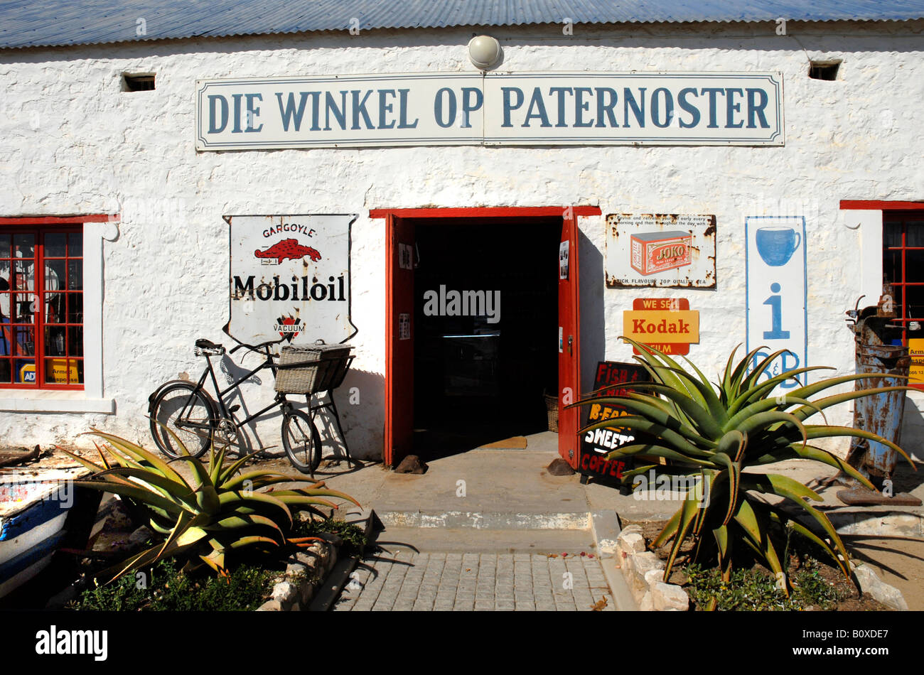 Paternoster bush hi-res stock photography and images - Alamy