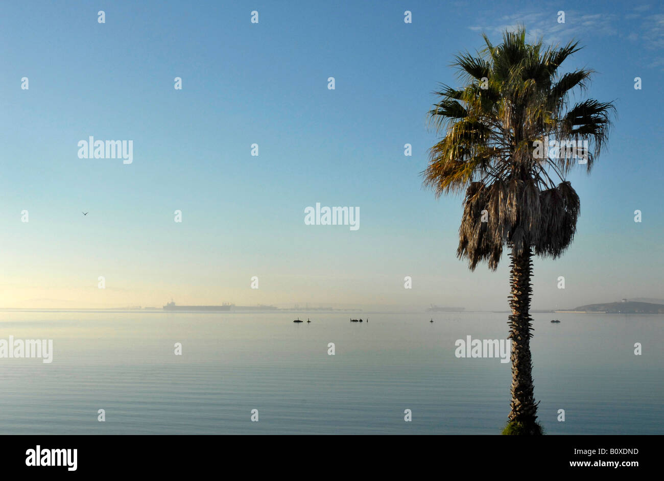 Saldanha beach hi-res stock photography and images - Alamy
