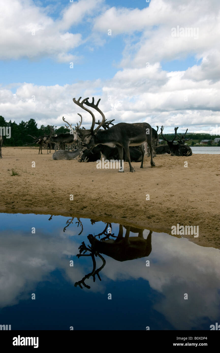 Engerdal High Resolution Stock Photography and Images - Alamy