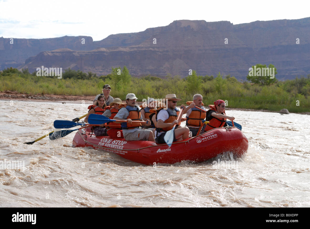 Rafting on the upper Colorado river near Moab Utah USA No MR Stock ...