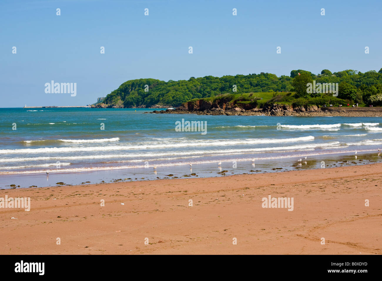Broadsands Beach Torbay Devon England UK Stock Photo - Alamy