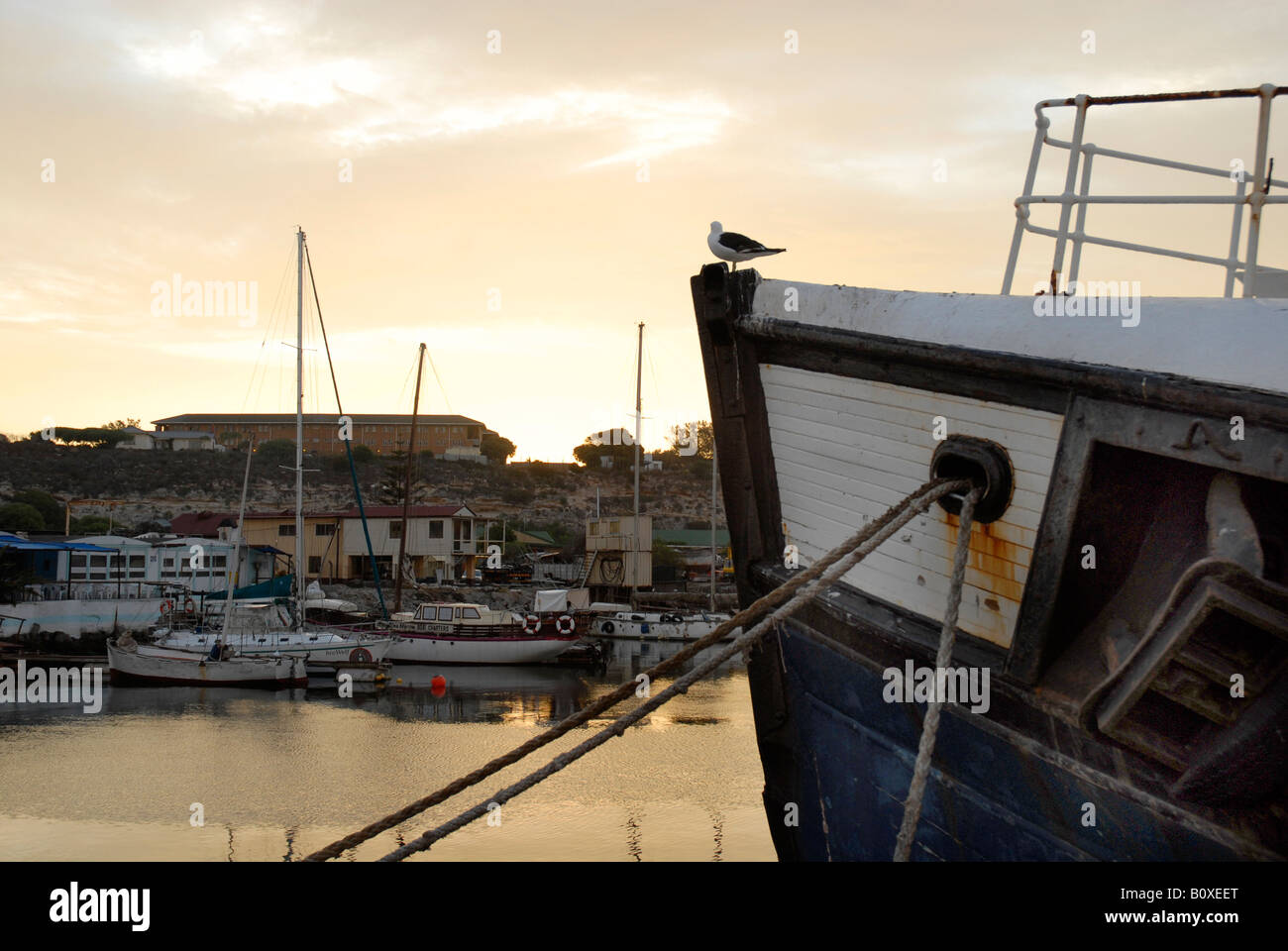 Saldanha Bay Harbour High Resolution Stock Photography and Images - Alamy