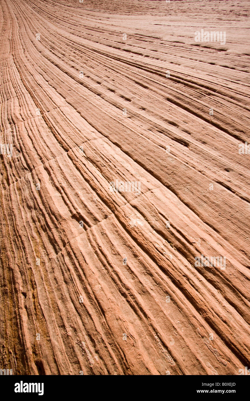 Zion wave formation hi-res stock photography and images - Alamy