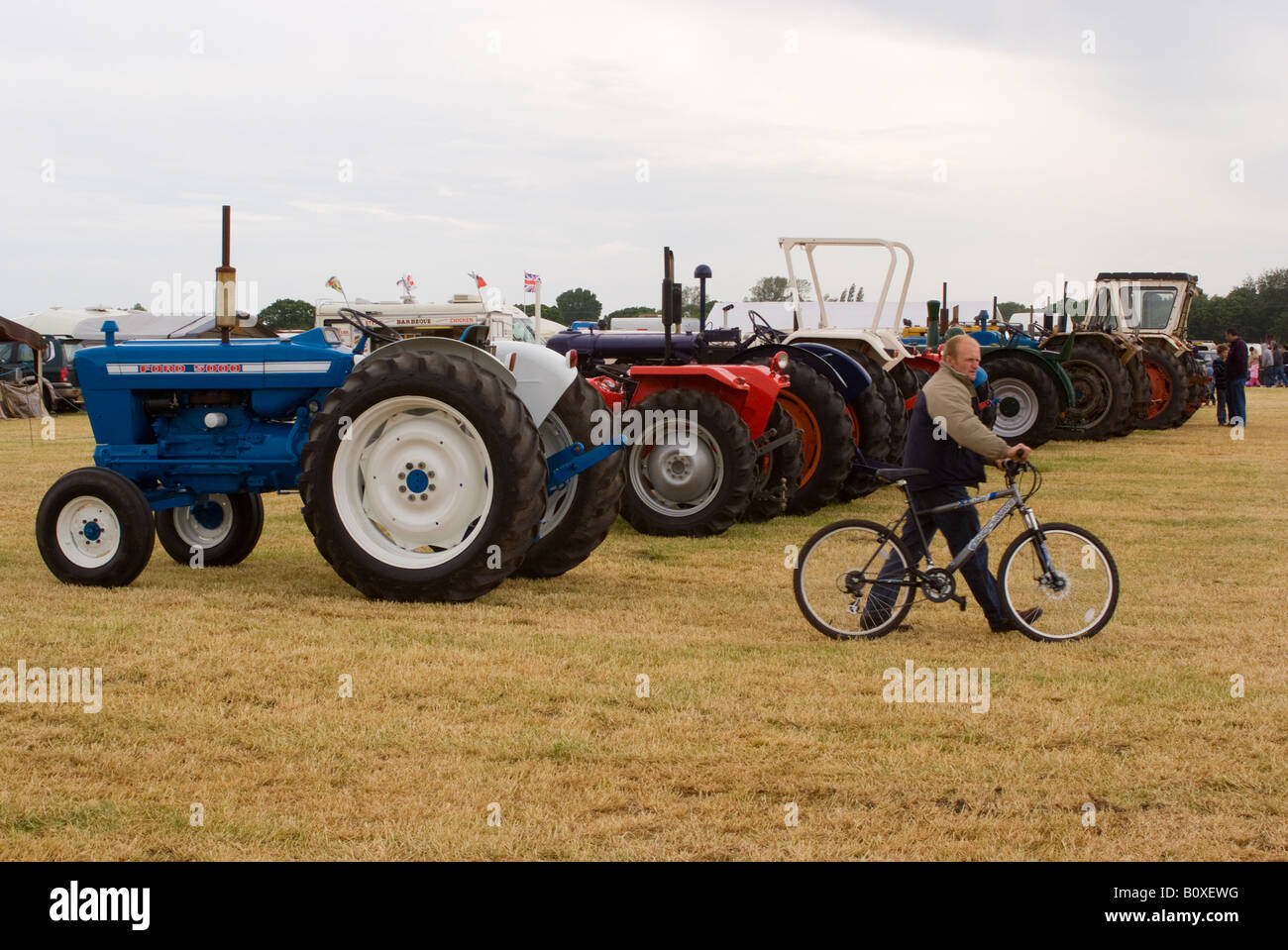 Man Pushing Bicycle and Line of Old Tractors at Smallwood Vintage Rally ...