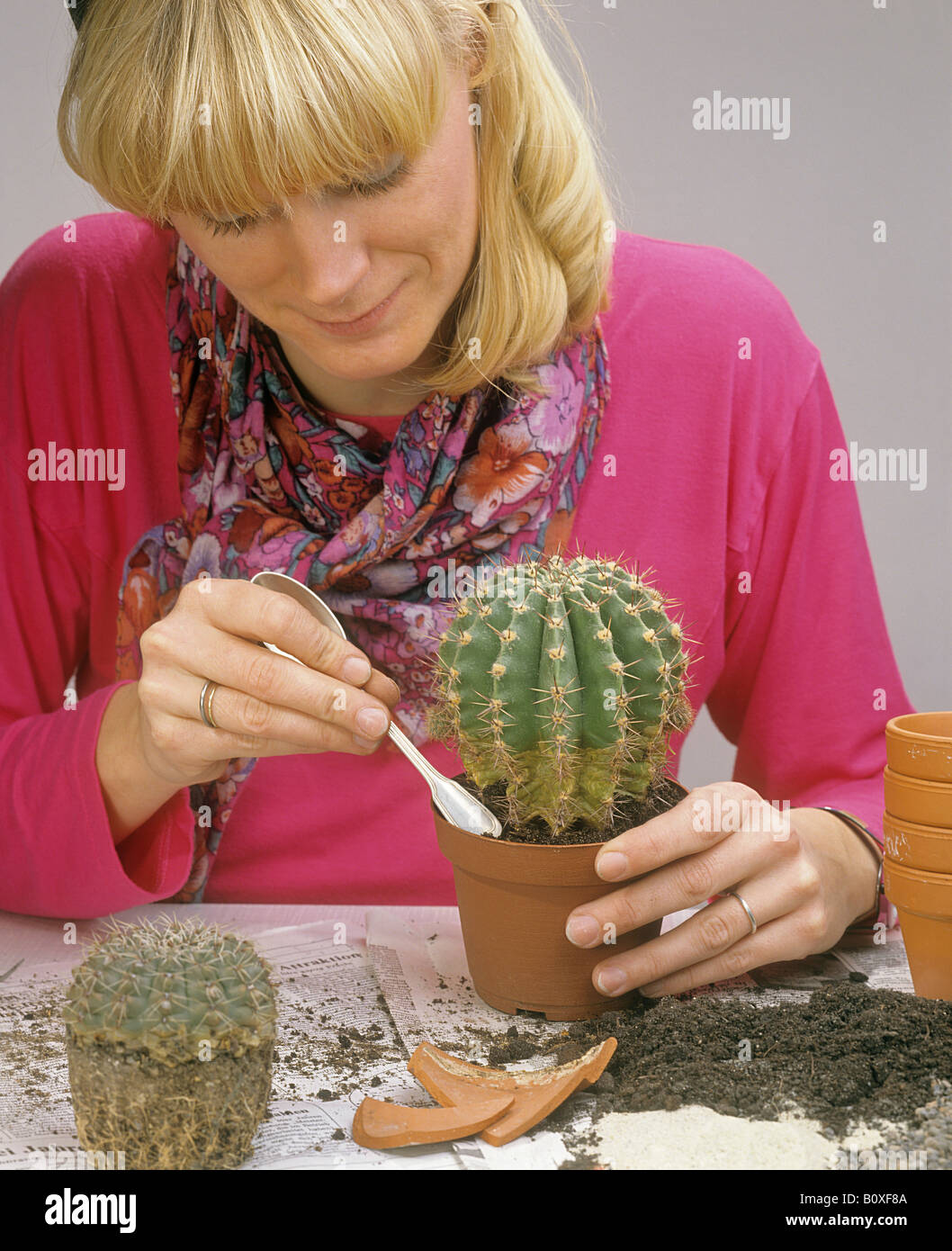 Repoting plants hi-res stock photography and images - Alamy