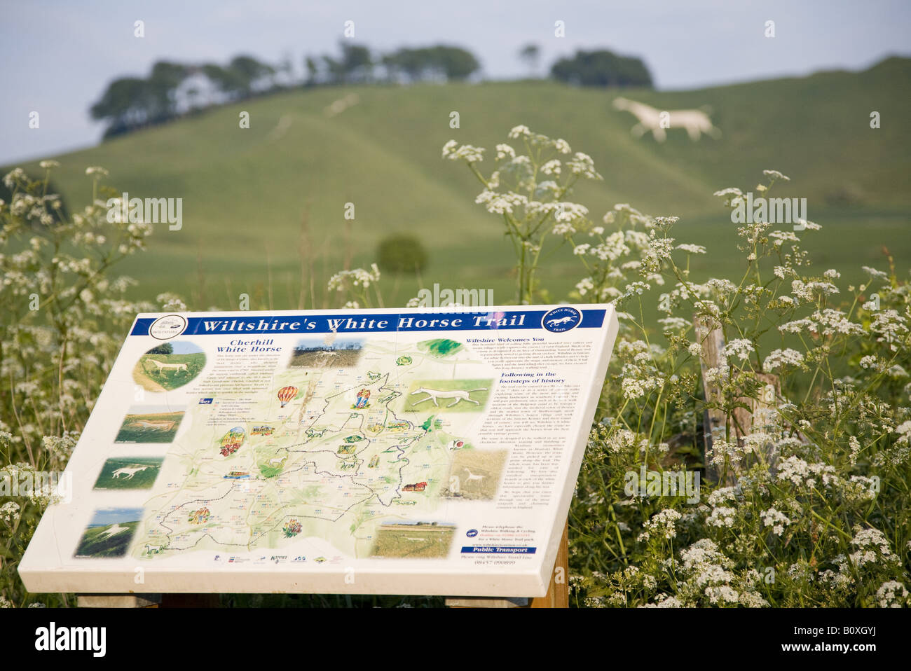White horse trail hi-res stock photography and images - Alamy