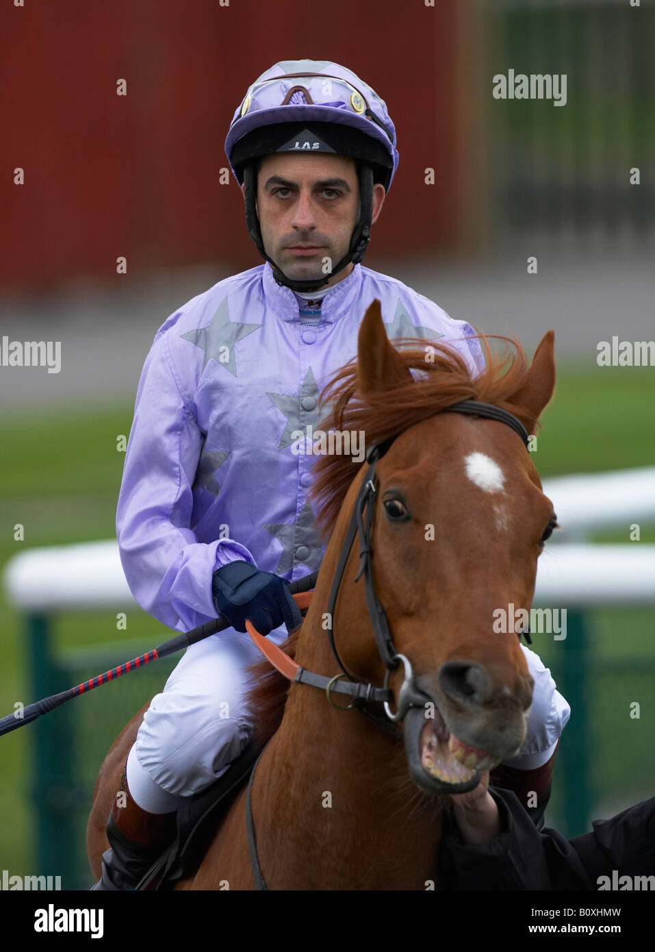 Horse and jockey hi-res stock photography and images - Alamy