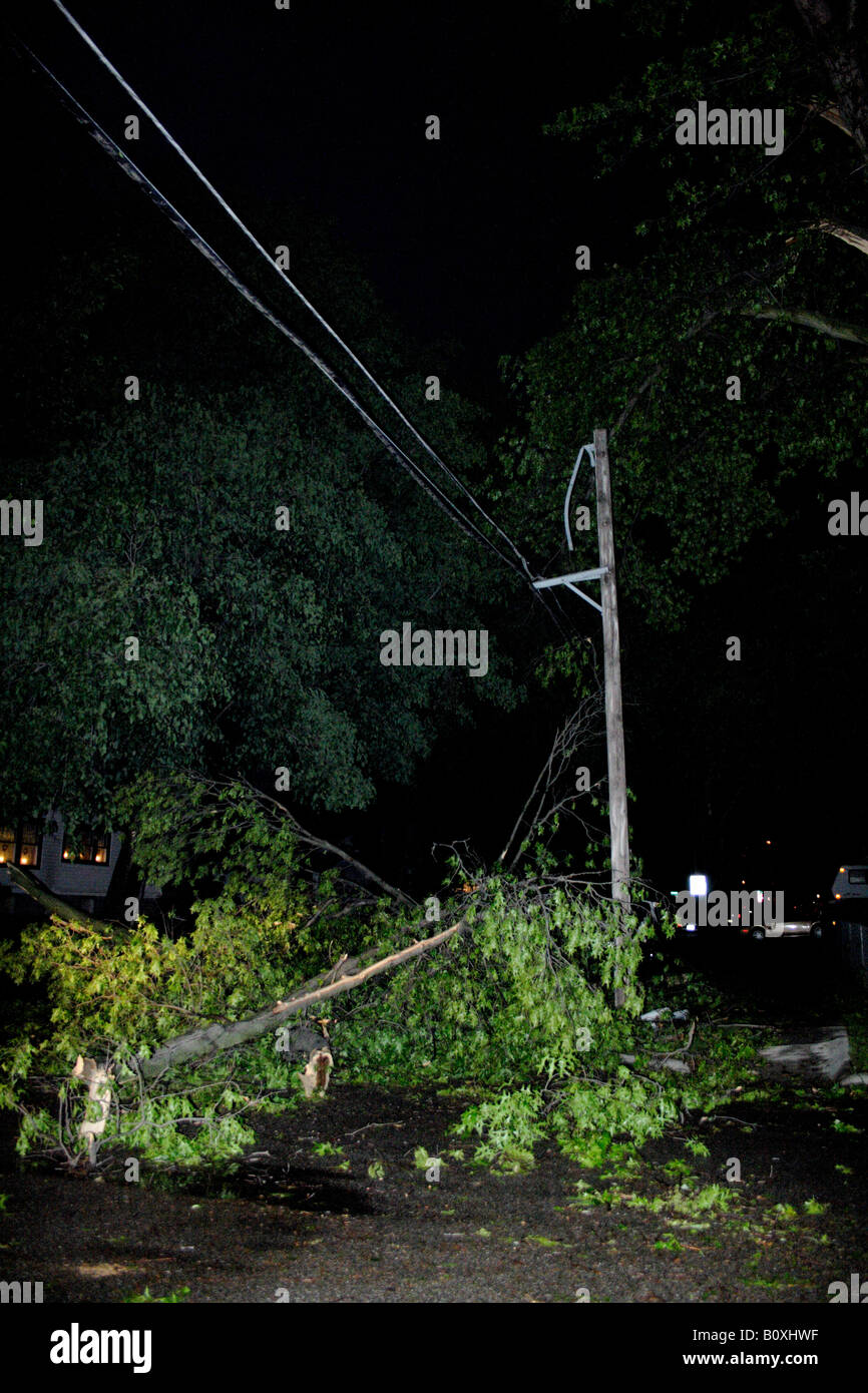 Fallen trees near power lines after a severe storm at night Stock Photo ...