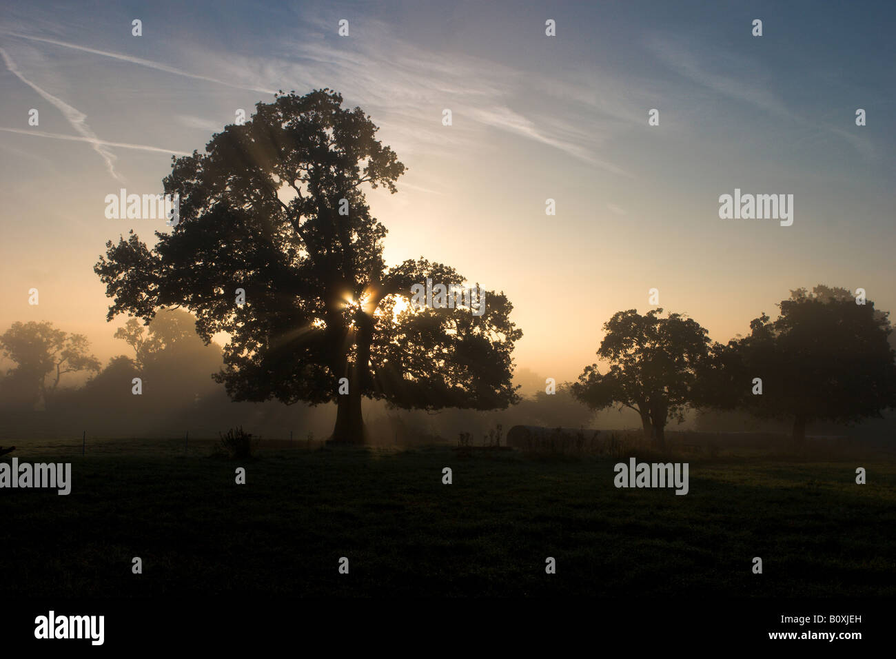Early Morning Sunrise in the Cheshire Countryside Stock Photo - Alamy