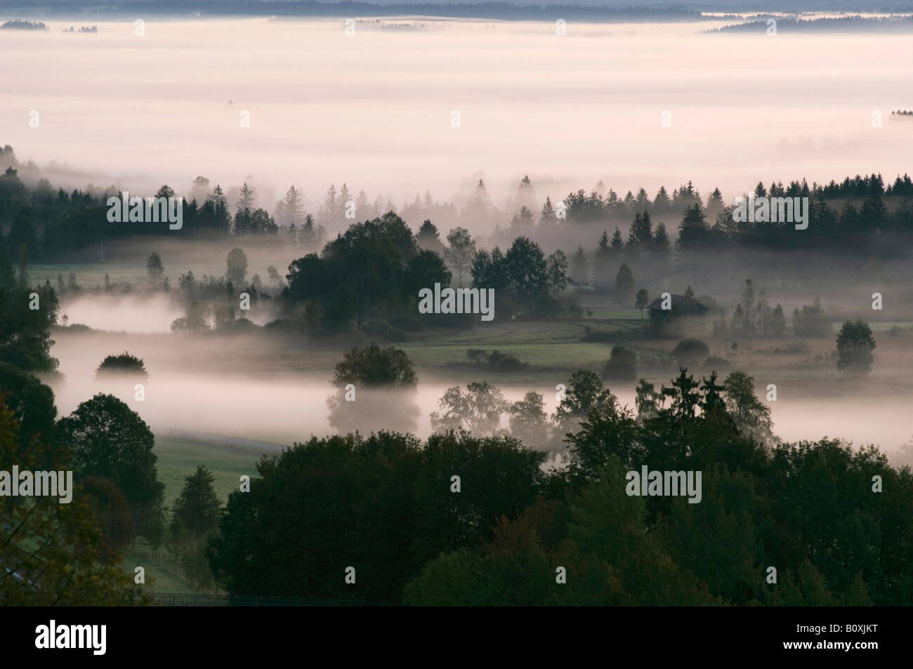 Germany, Landscape in mist Stock Photo - Alamy
