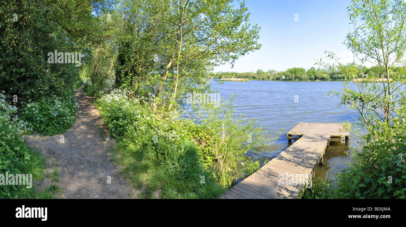 A footpath through woods alongside a lake or river Stock Photo - Alamy