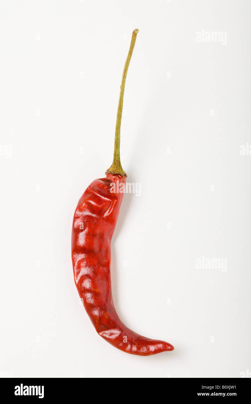 Red Chili Dry Pods at Mary Eklund blog