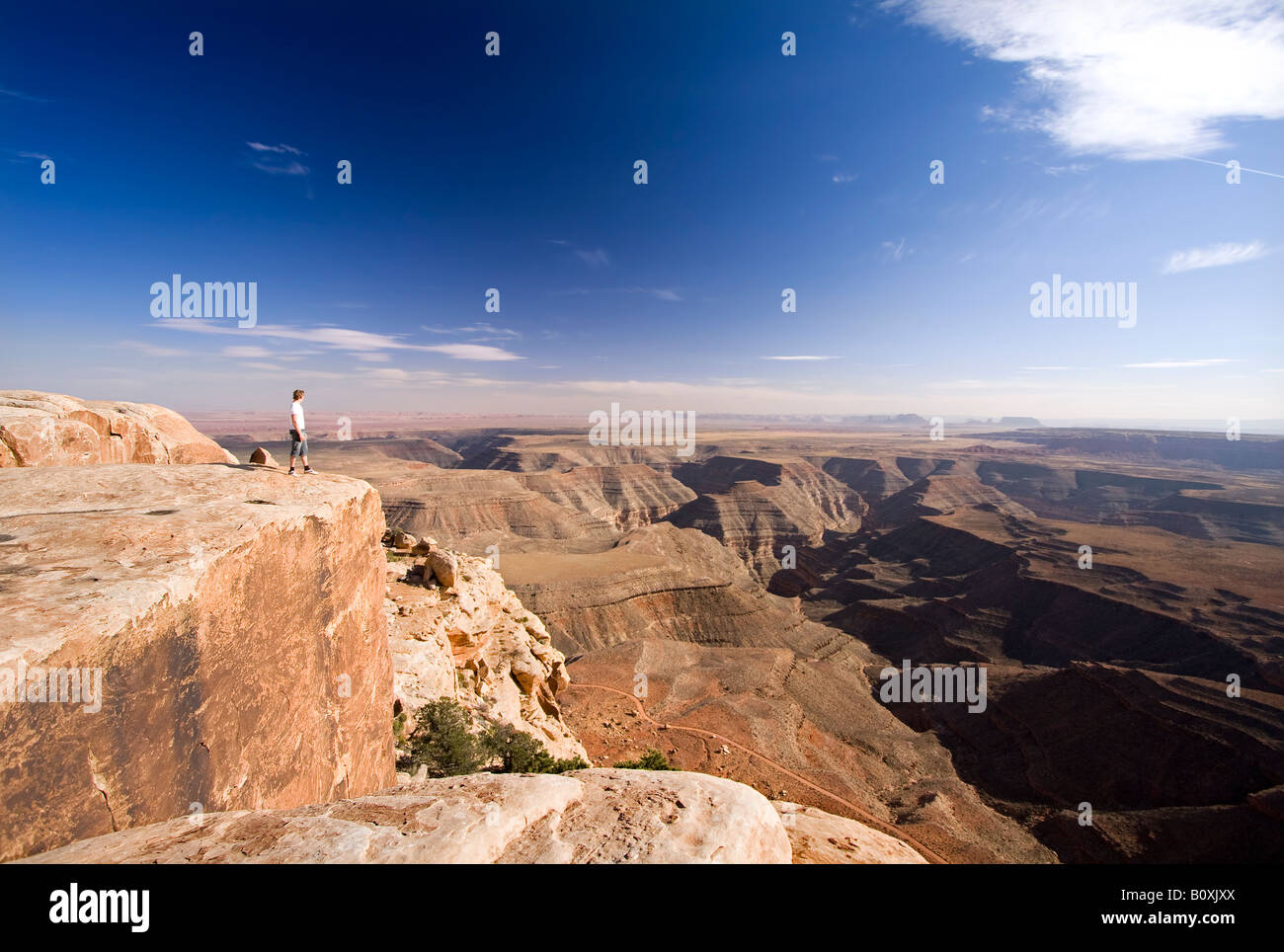 Man standing on cliff edge Muley Point Utah Stock Photo - Alamy