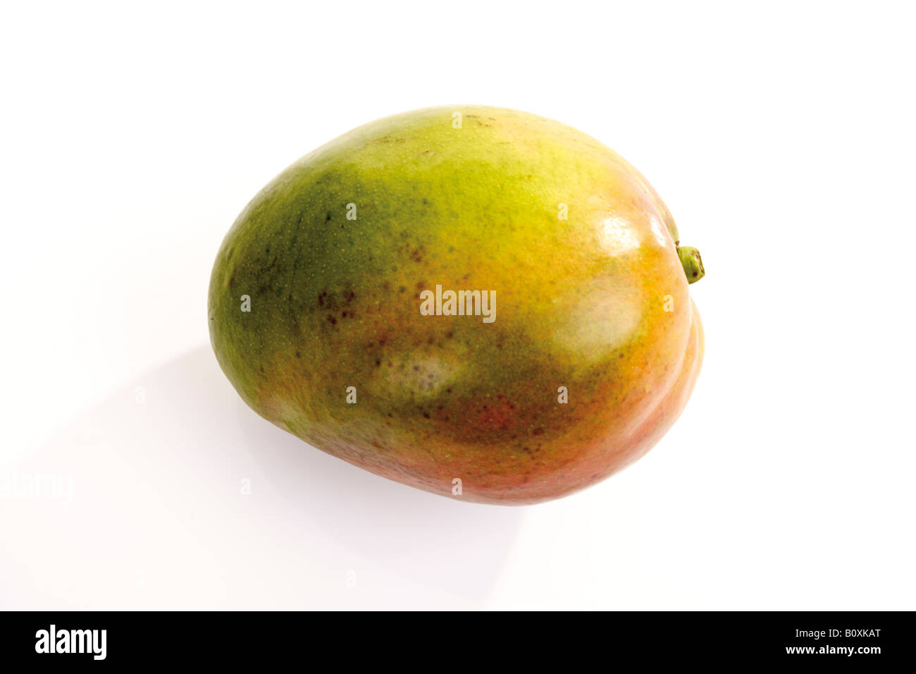 1 mango hi-res stock photography and images - Alamy