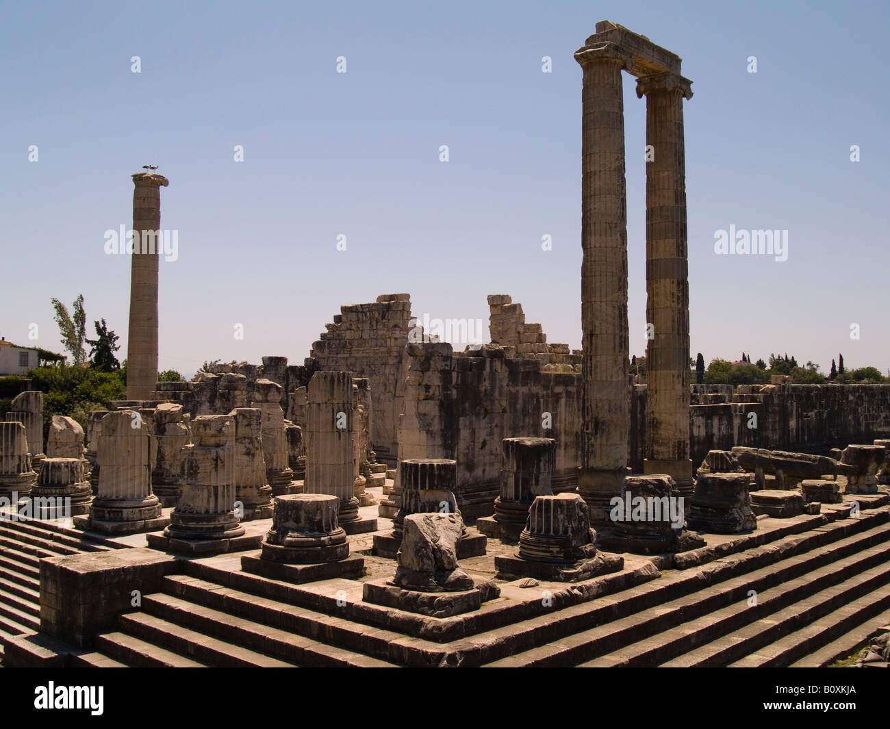 Temple of Apollo, Didim, Turkey Stock Photo - Alamy