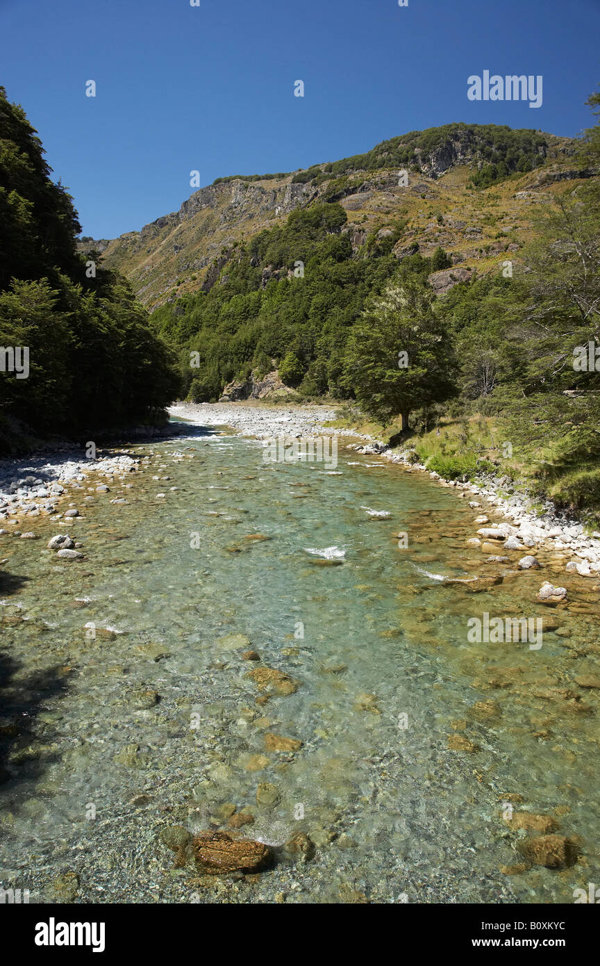 Caples River just above confluence with Greenstone River Caples and ...