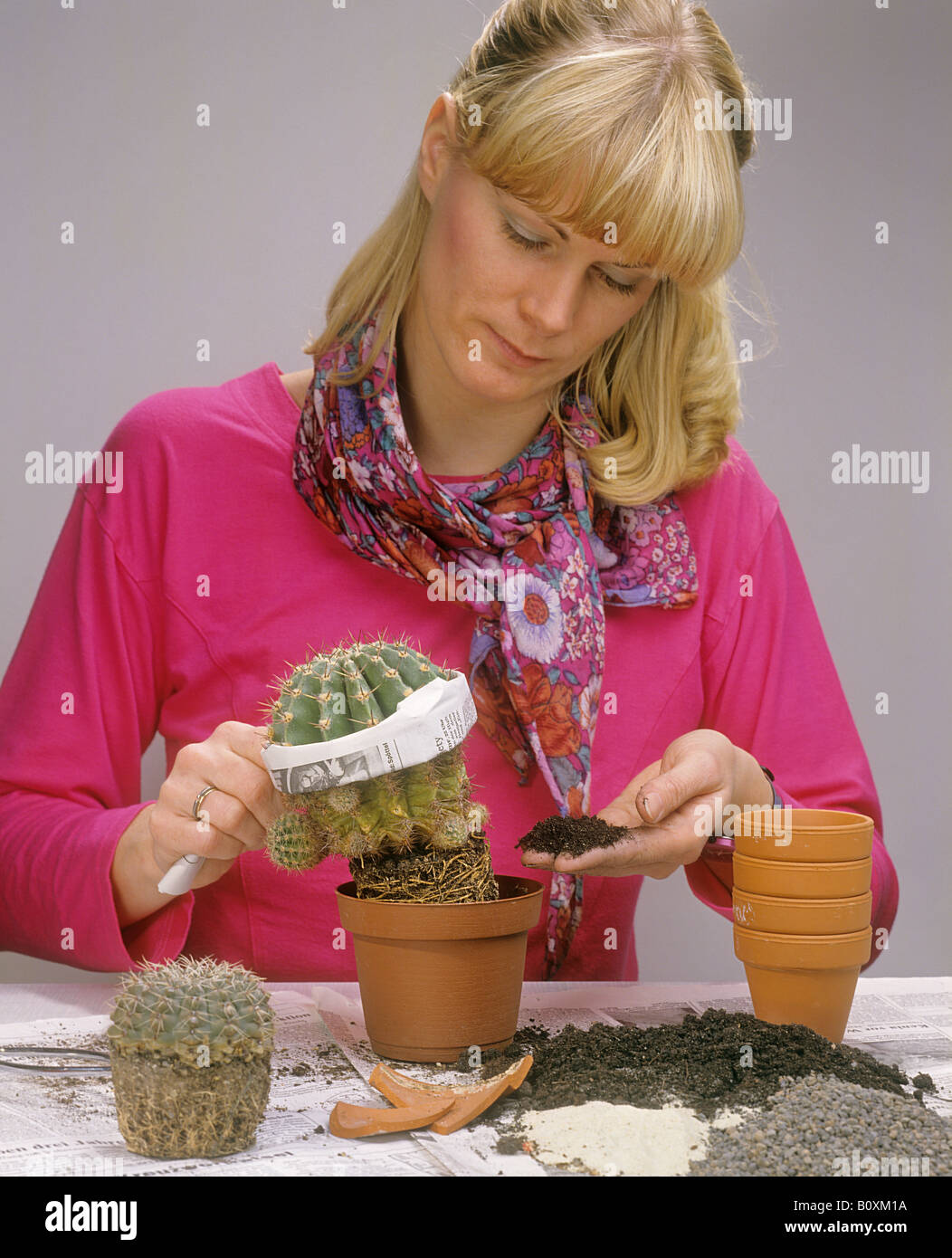 Repoting plants hi-res stock photography and images - Alamy