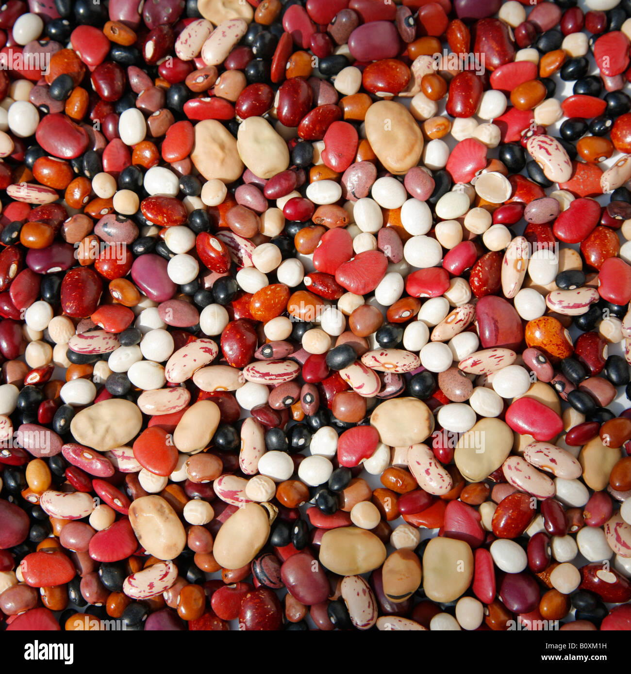 Incredible harvest hi-res stock photography and images - Alamy