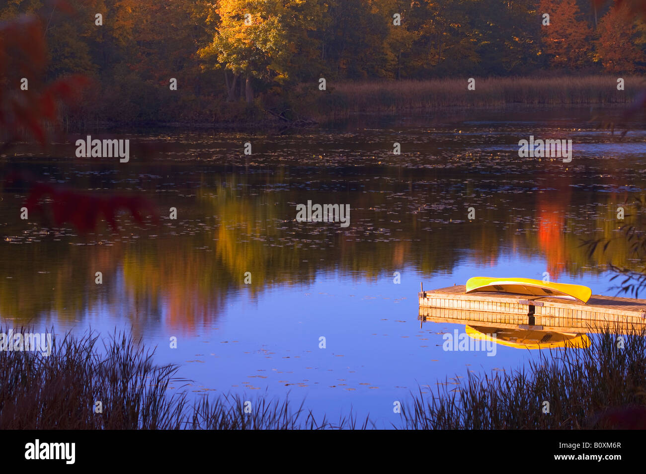 A secluded area Stock Photo - Alamy