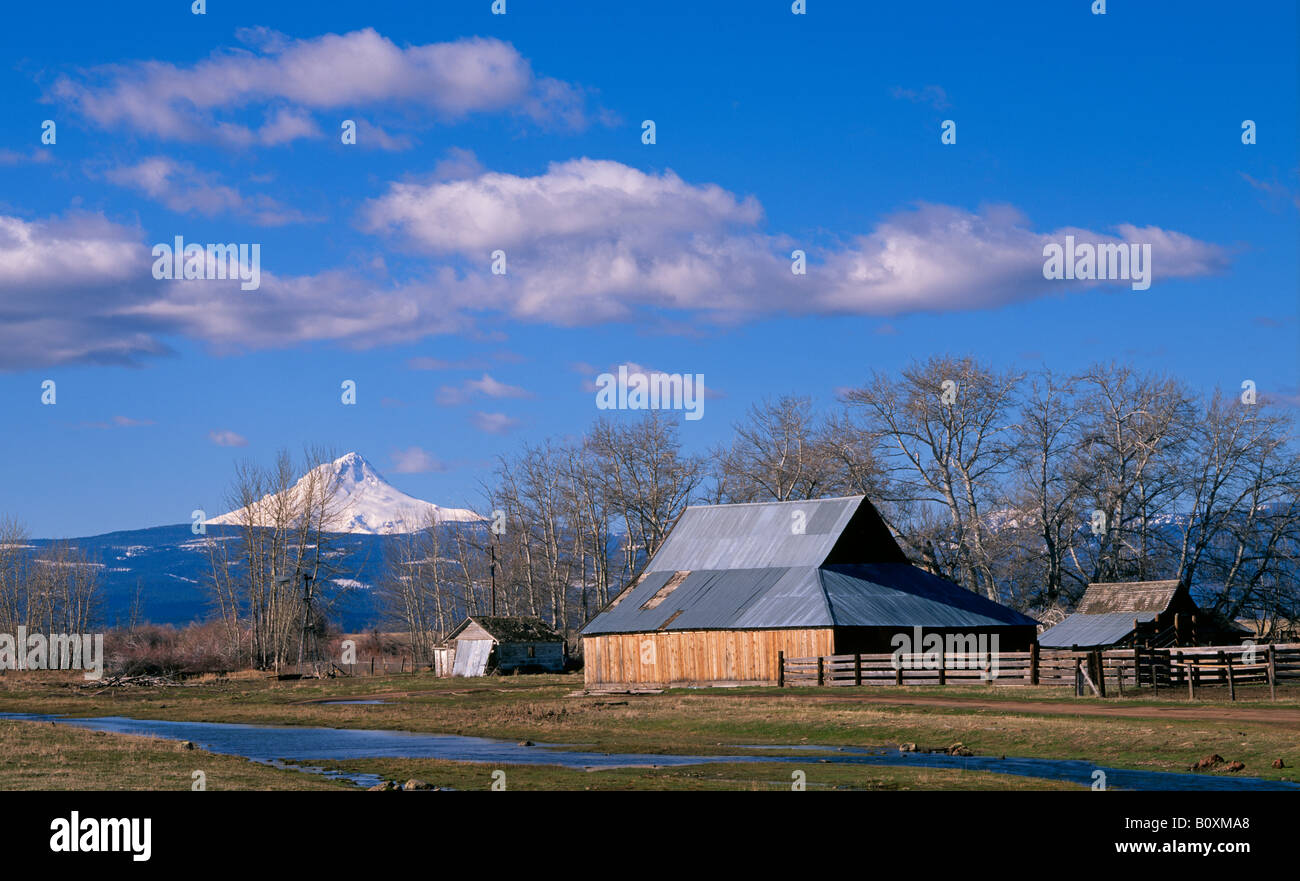 An old barn and outbuildings on a cattle ranch in Central Oregon with ...