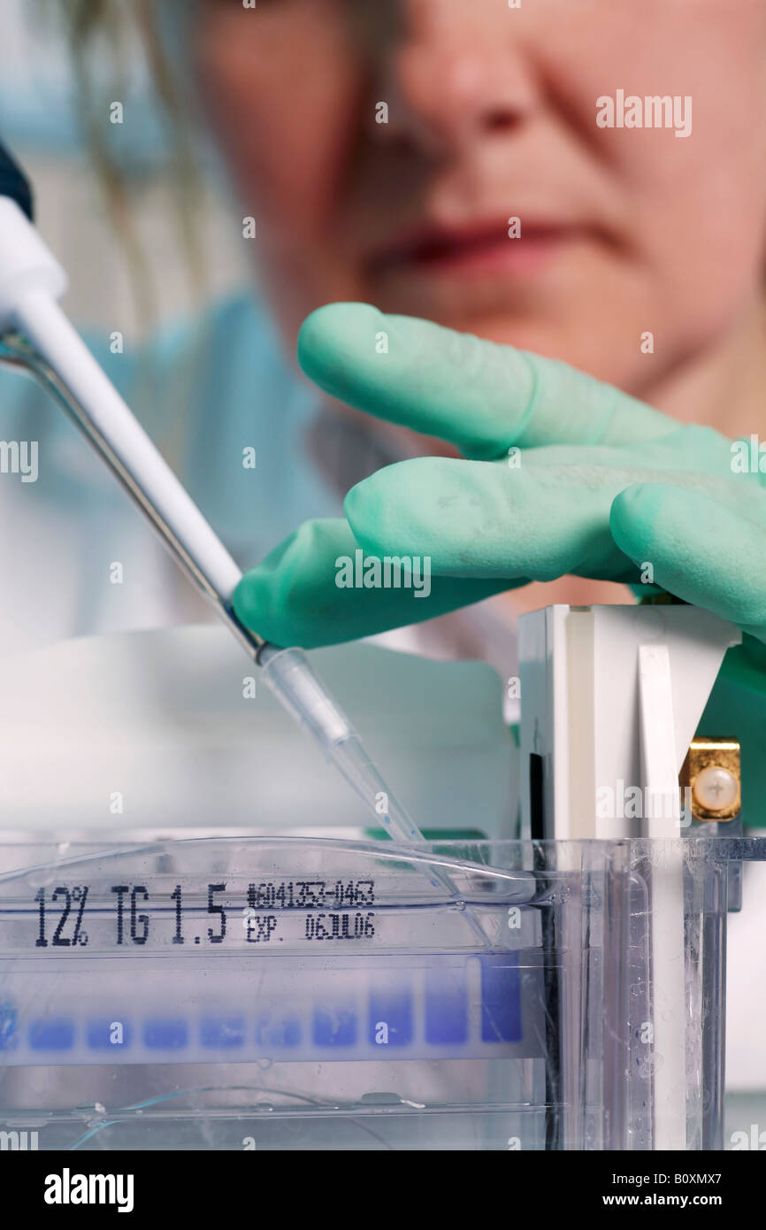 Genetic engineering, using a pipette, close up Stock Photo - Alamy