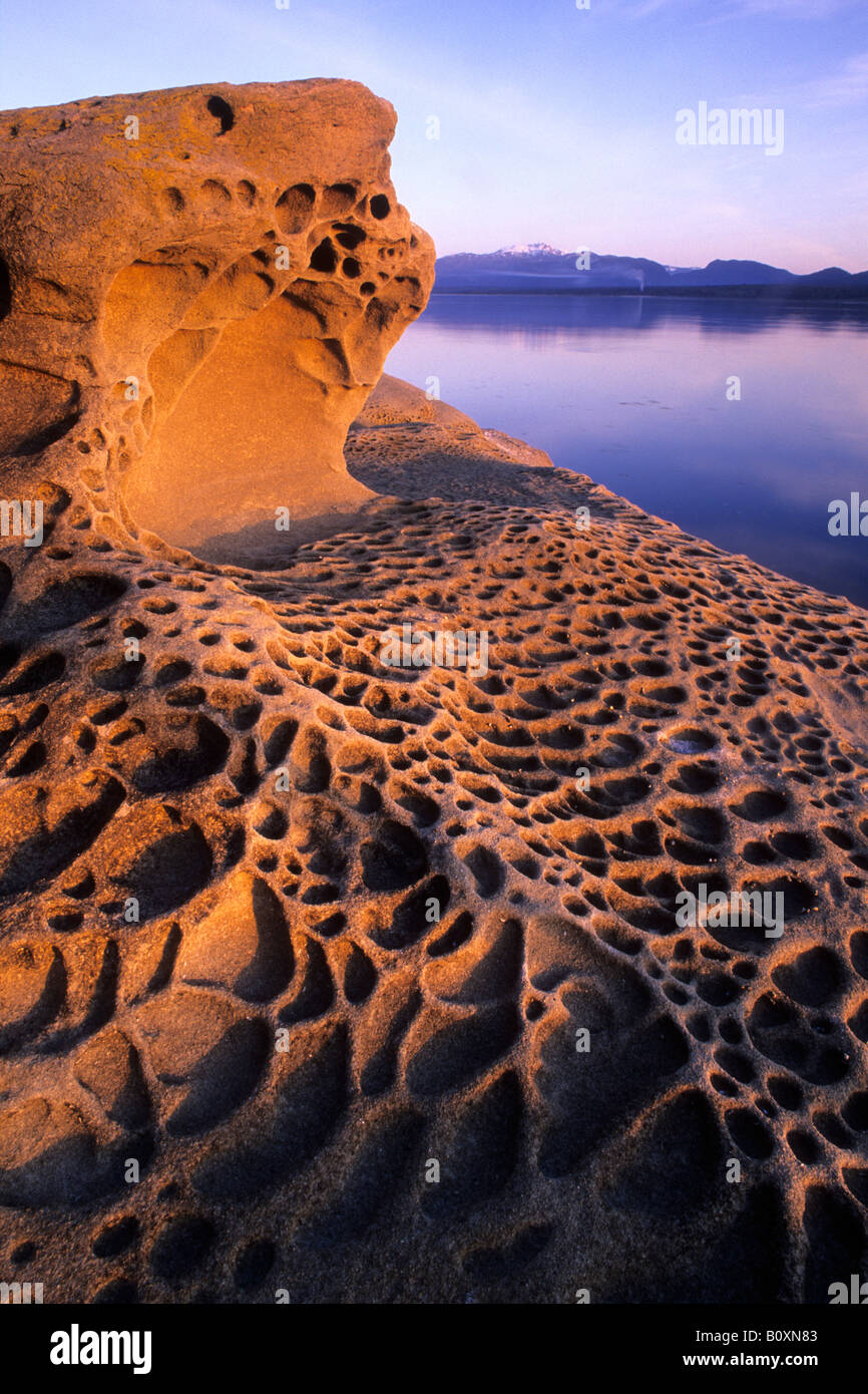 Eroded sandstone Heron Rocks Hornby Island British Columbia Canada ...