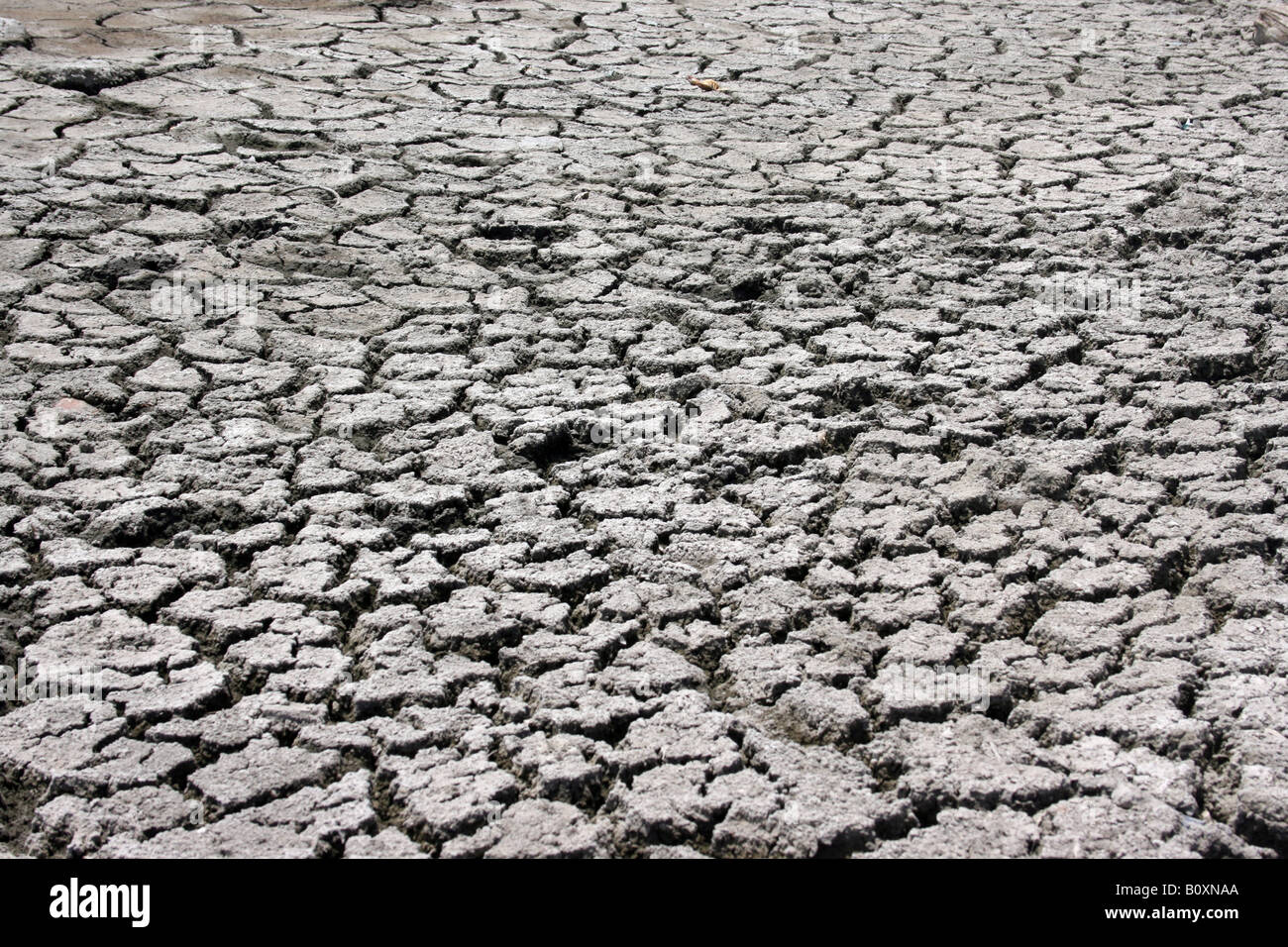 Unproductive land hi-res stock photography and images - Alamy