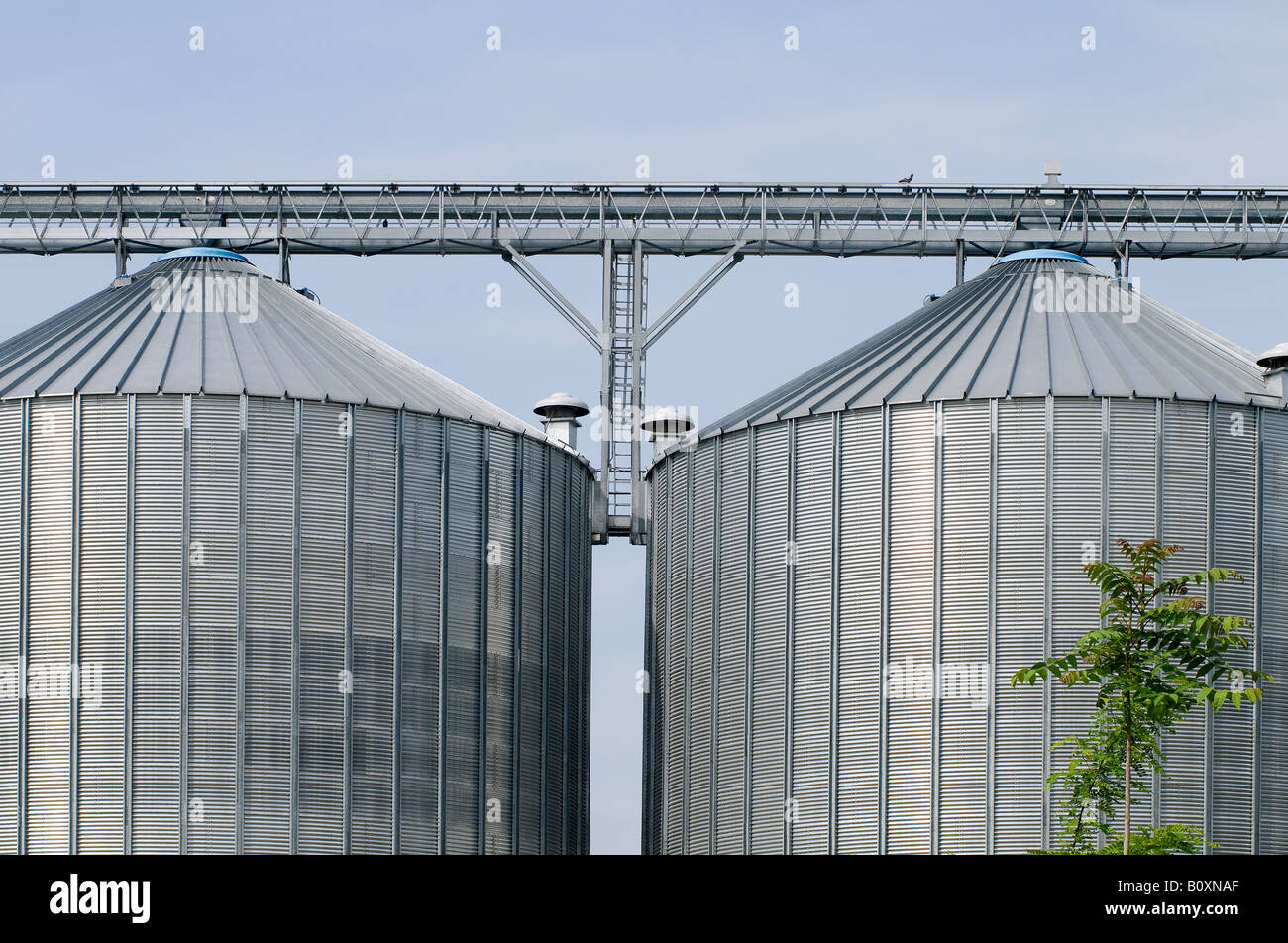 The silos for the storage of cereals Stock Photo - Alamy