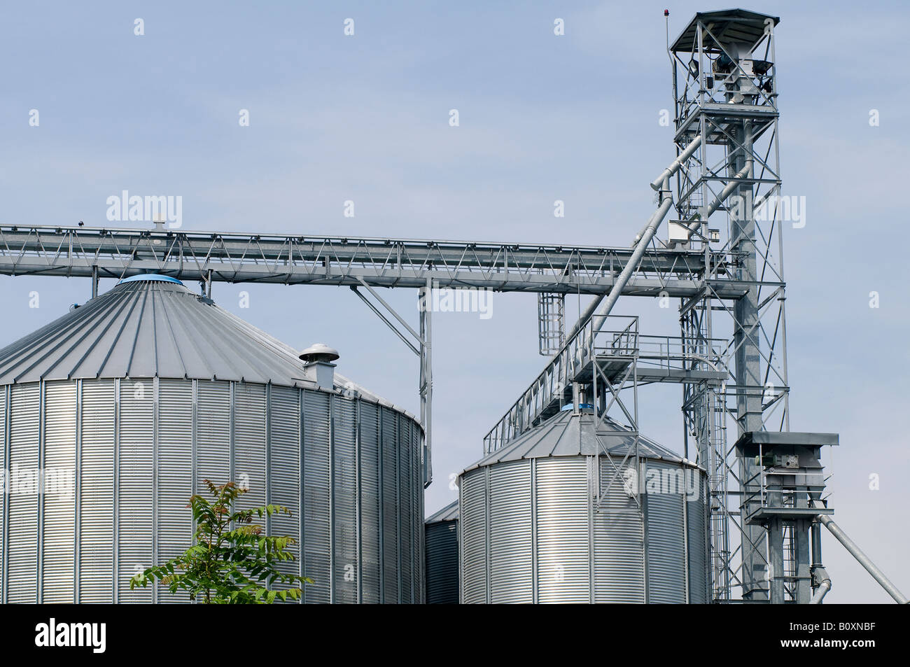 The silos for the storage of cereals Stock Photo - Alamy
