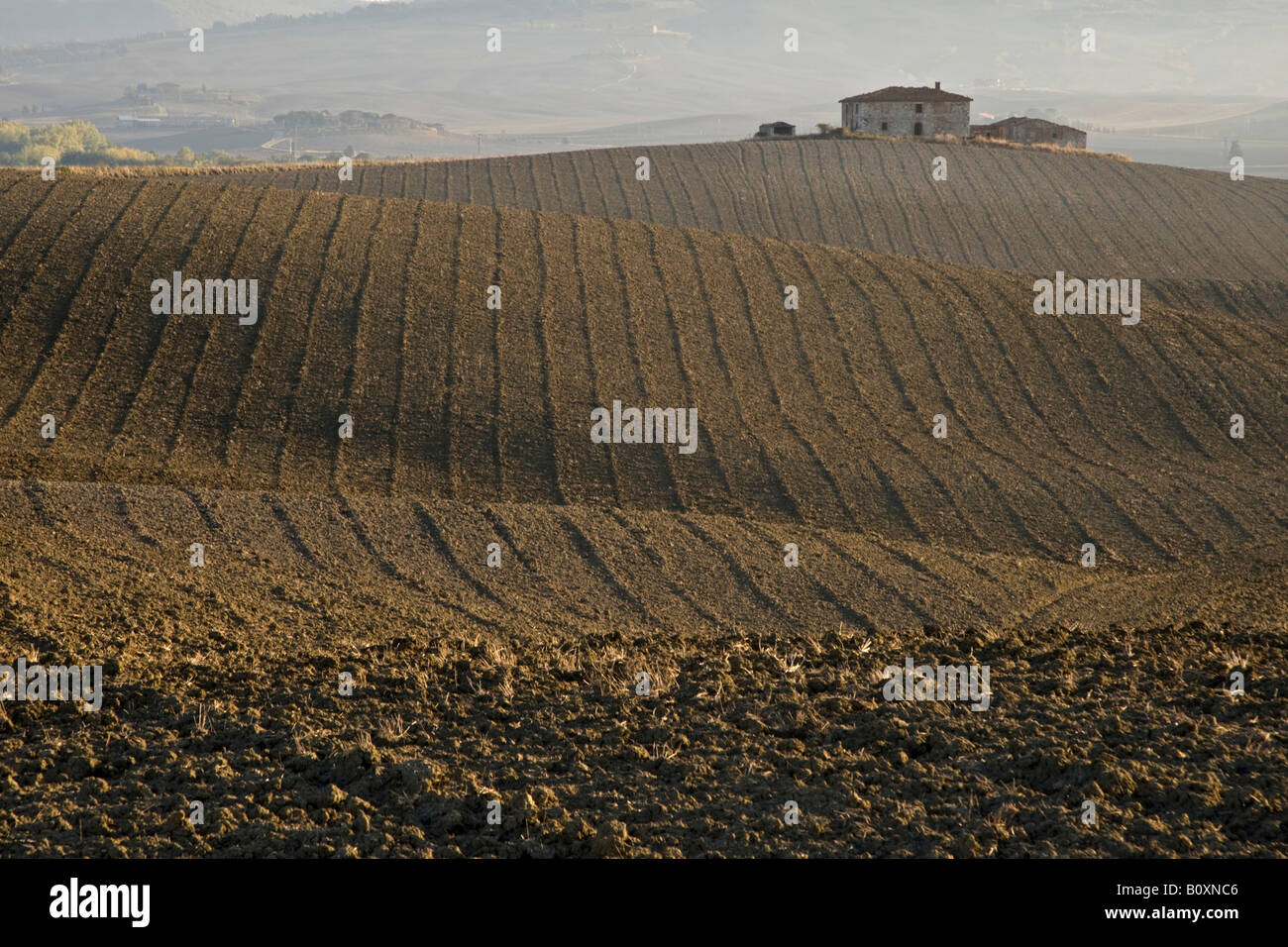 Italy, Tuscany, Farm building Stock Photo - Alamy