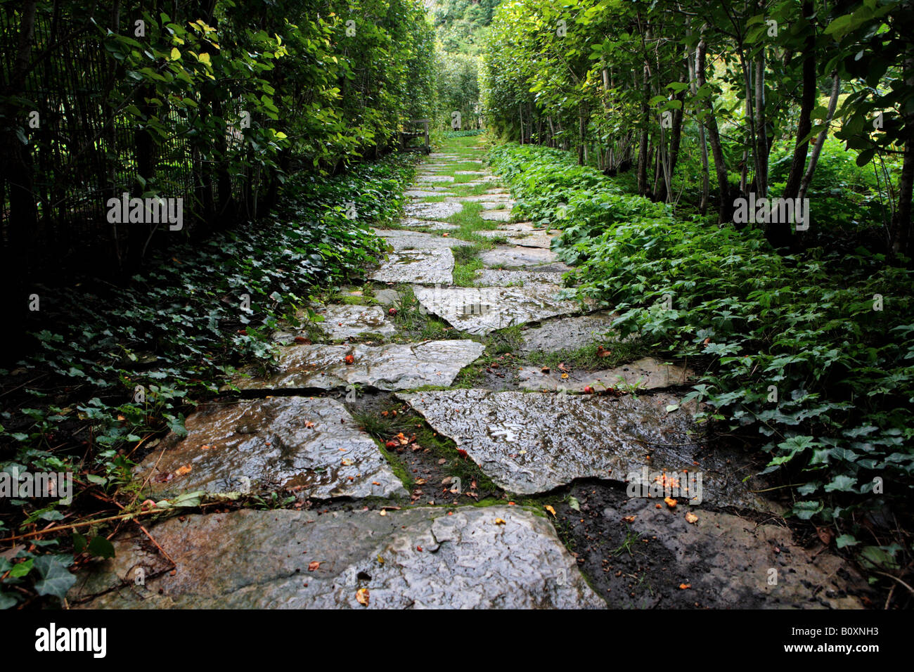 STONE PATH IN SHAKESPEARE GARDEN DESIGNED BY JENS JENSEN AND FOUNDED IN ...