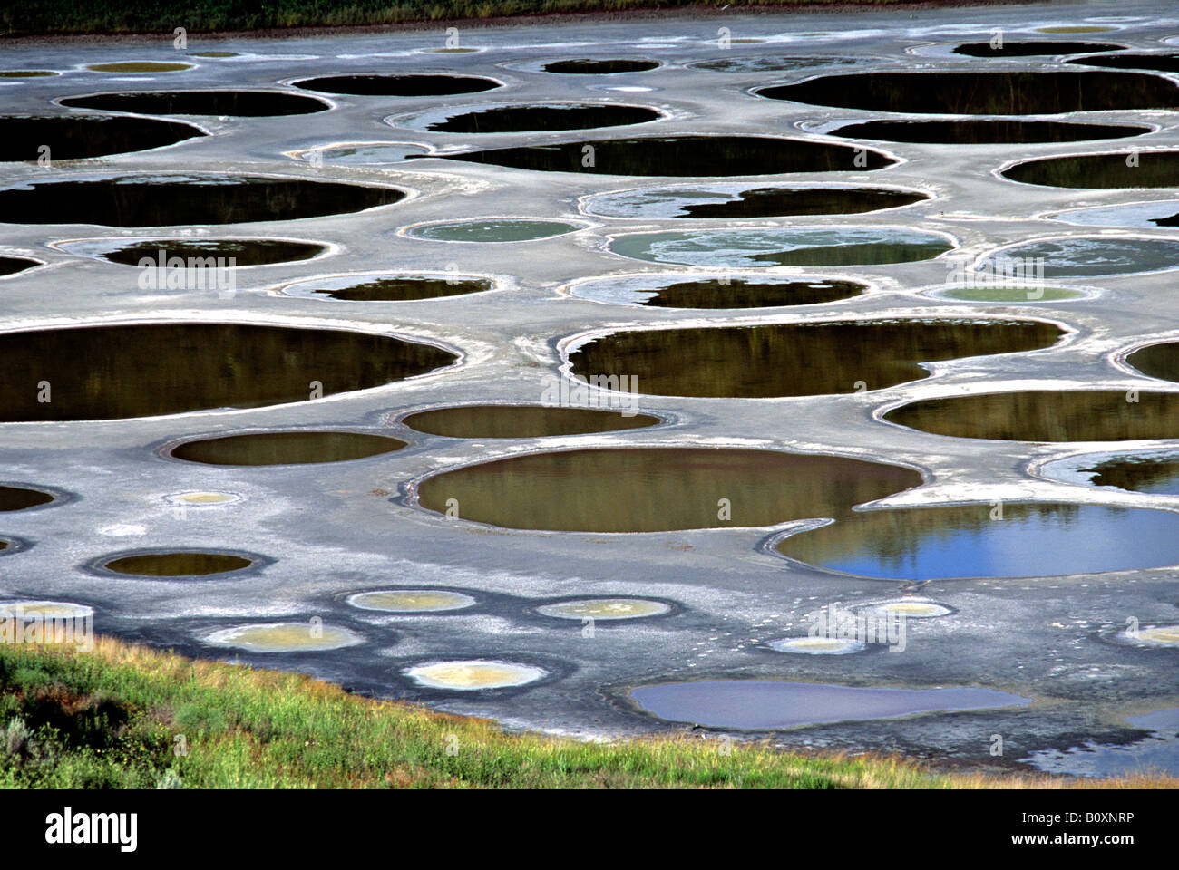 Spotted Lake alkaline pond near Osoyoos British Columbia Canada ...