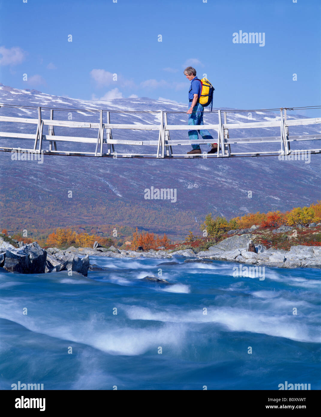 Female walker crossing a footbridge across a river in Maradalen, Skjak ...
