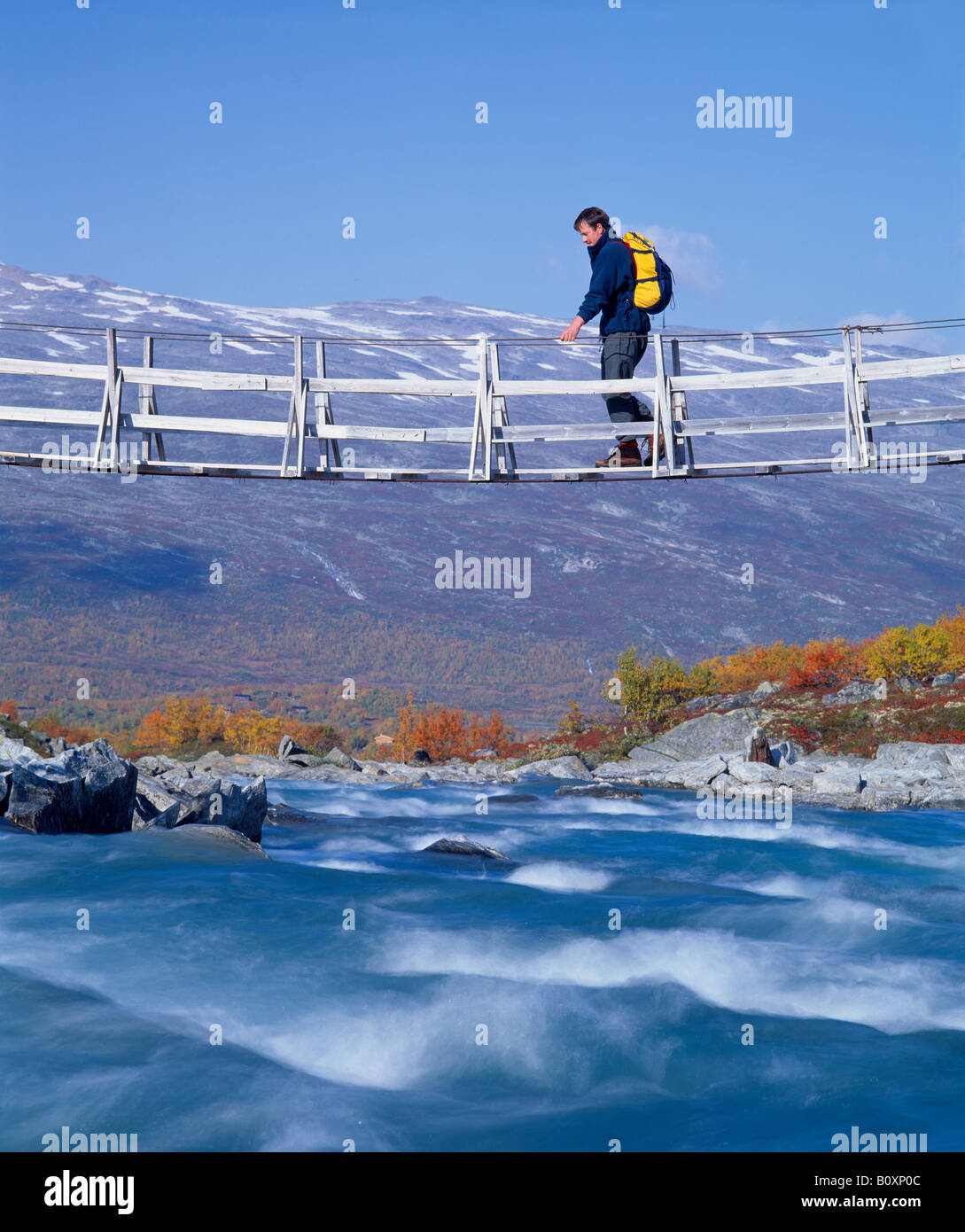 Male walker crossing a footbridge across a river in Maradalen, Skjak ...