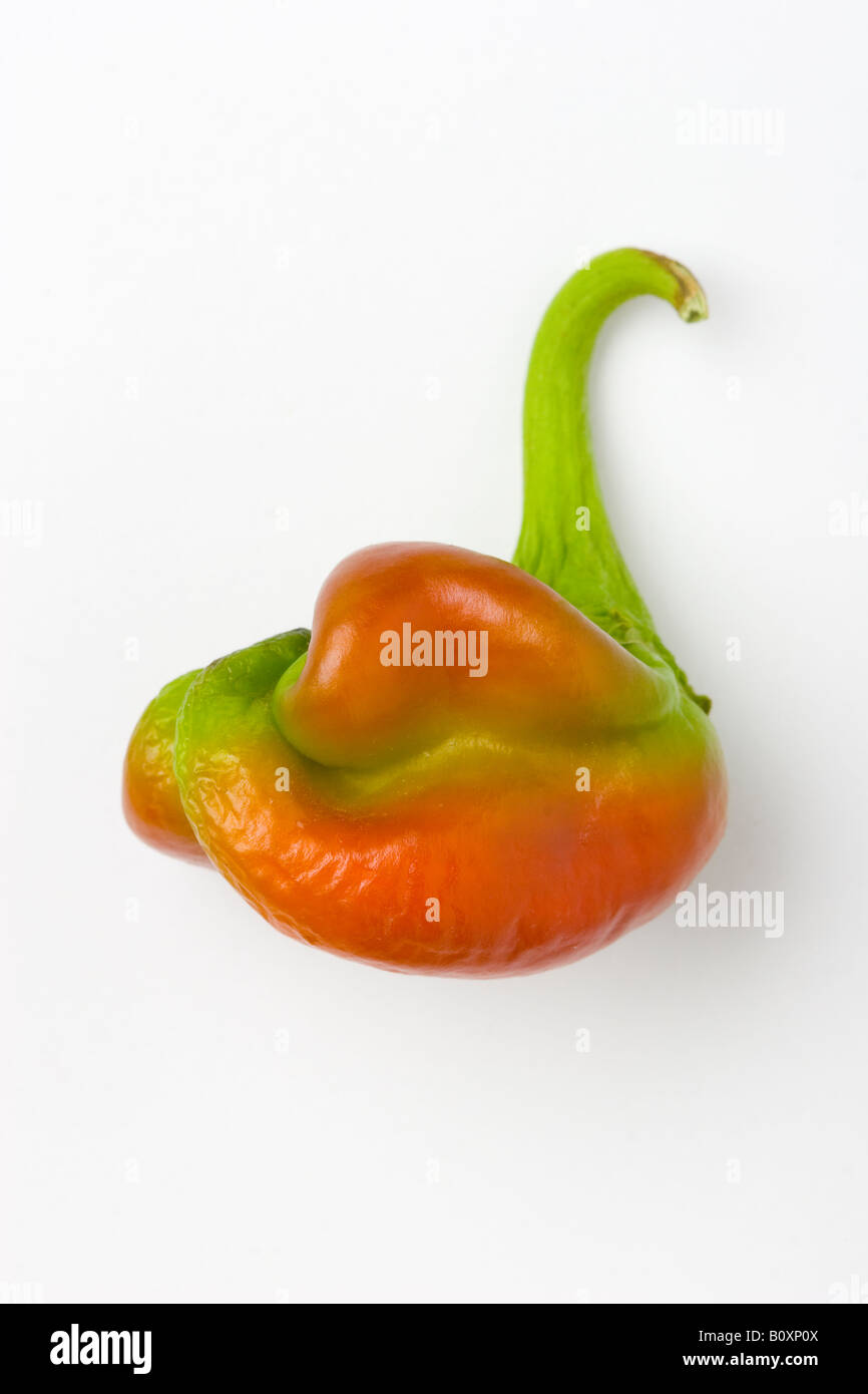 Red chili pepper deformed shape Stock Photo - Alamy