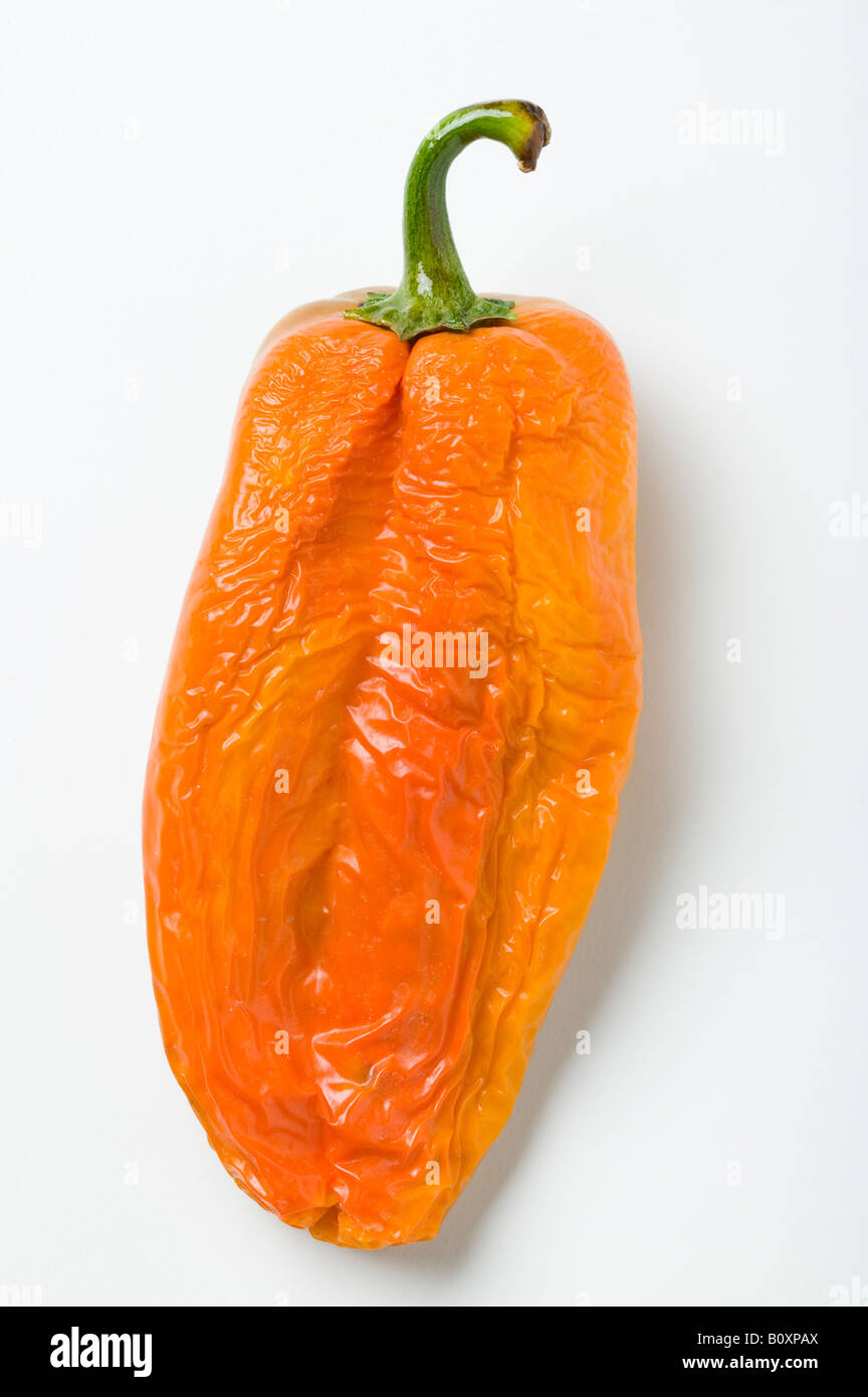 Orange Chili Pepper Stock Photo - Alamy