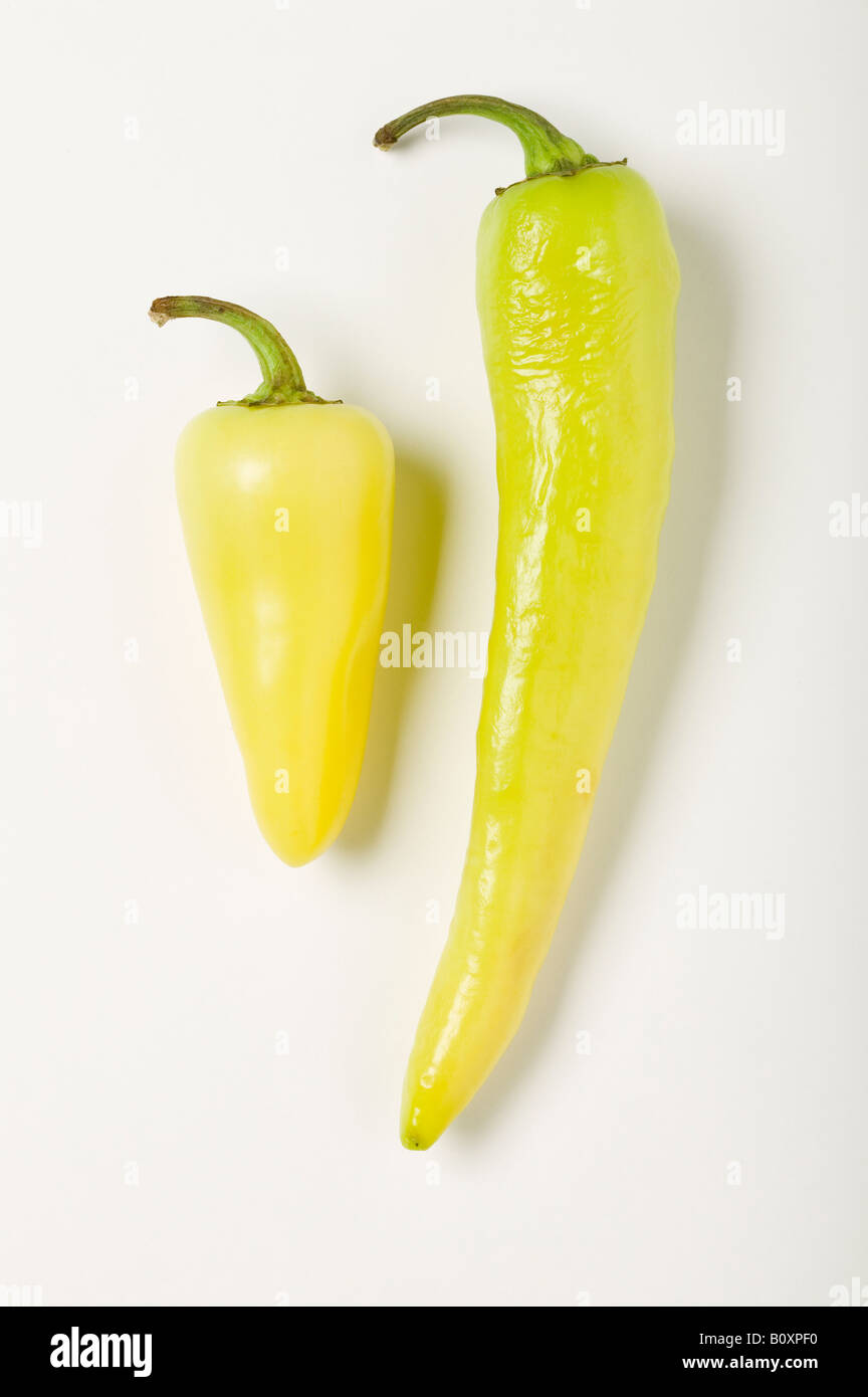 Yellow Hot Chili Pepper also known as a Hungarian pepper Stock Photo ...